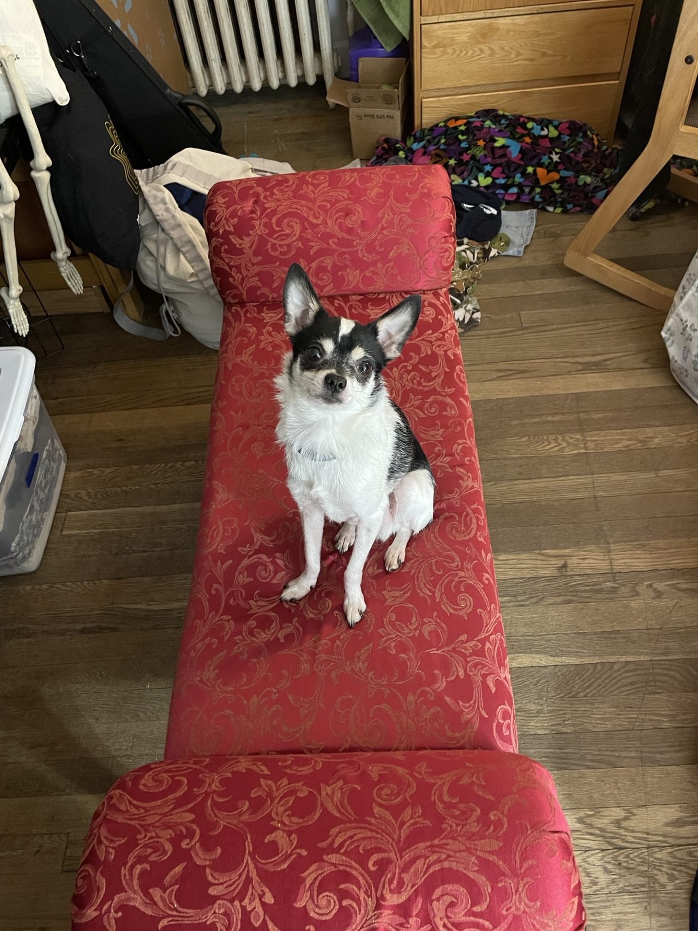 The Abled Body is Temporary. - Art Spark Texas