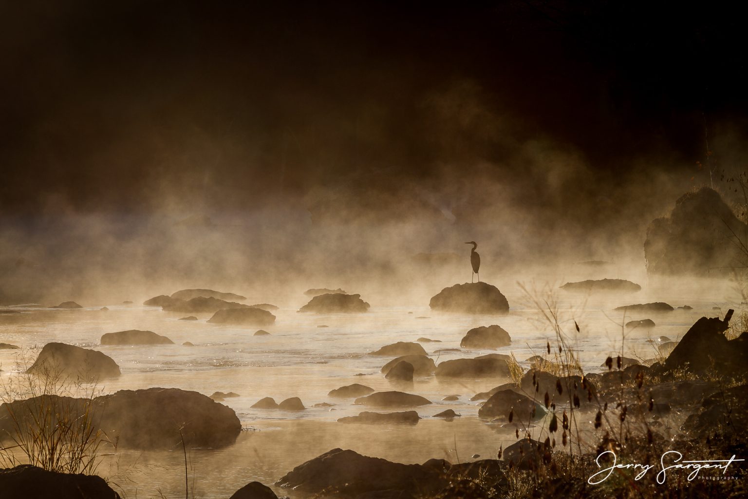 Earth Tones: Exploring the Creative in Nature - Art Spark Texas