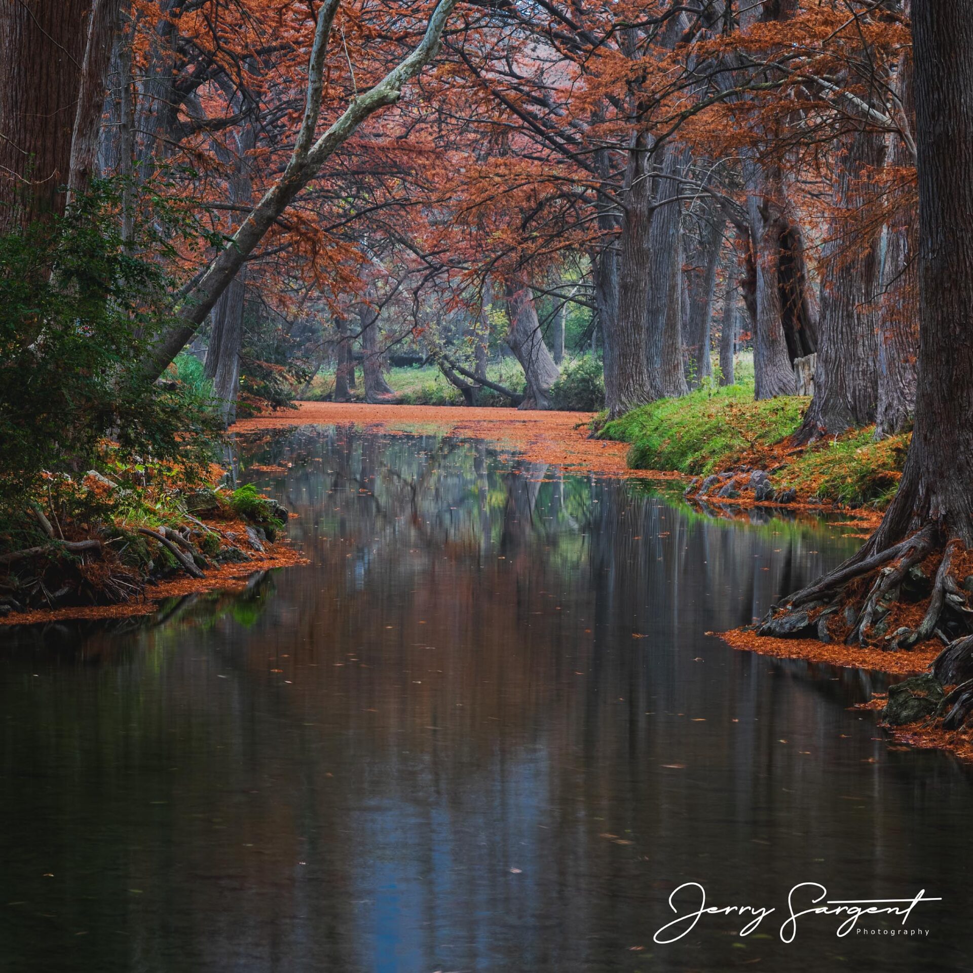 Earth Tones: Exploring the Creative in Nature - Art Spark Texas
