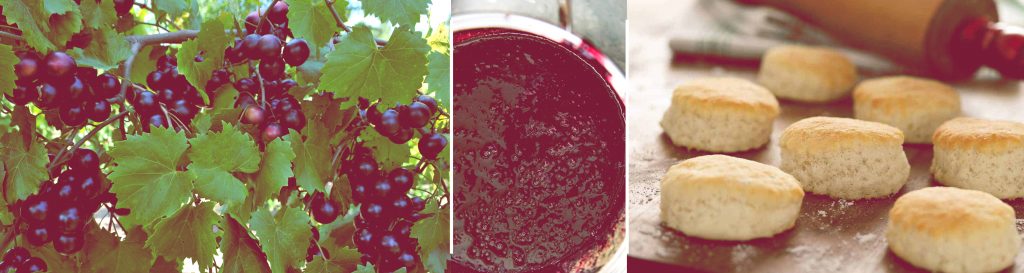 The Story Behind the Recipe - Art Spark Texas